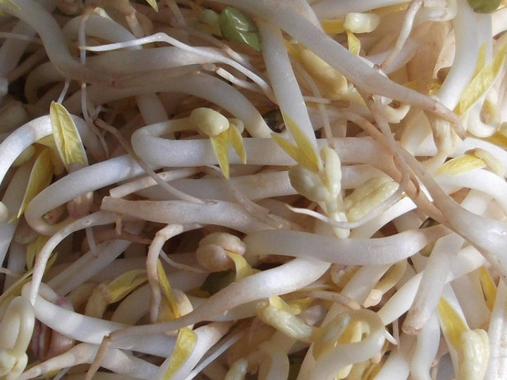 Descubre por qué los brotes de soja frescos son la elección saludable y ...